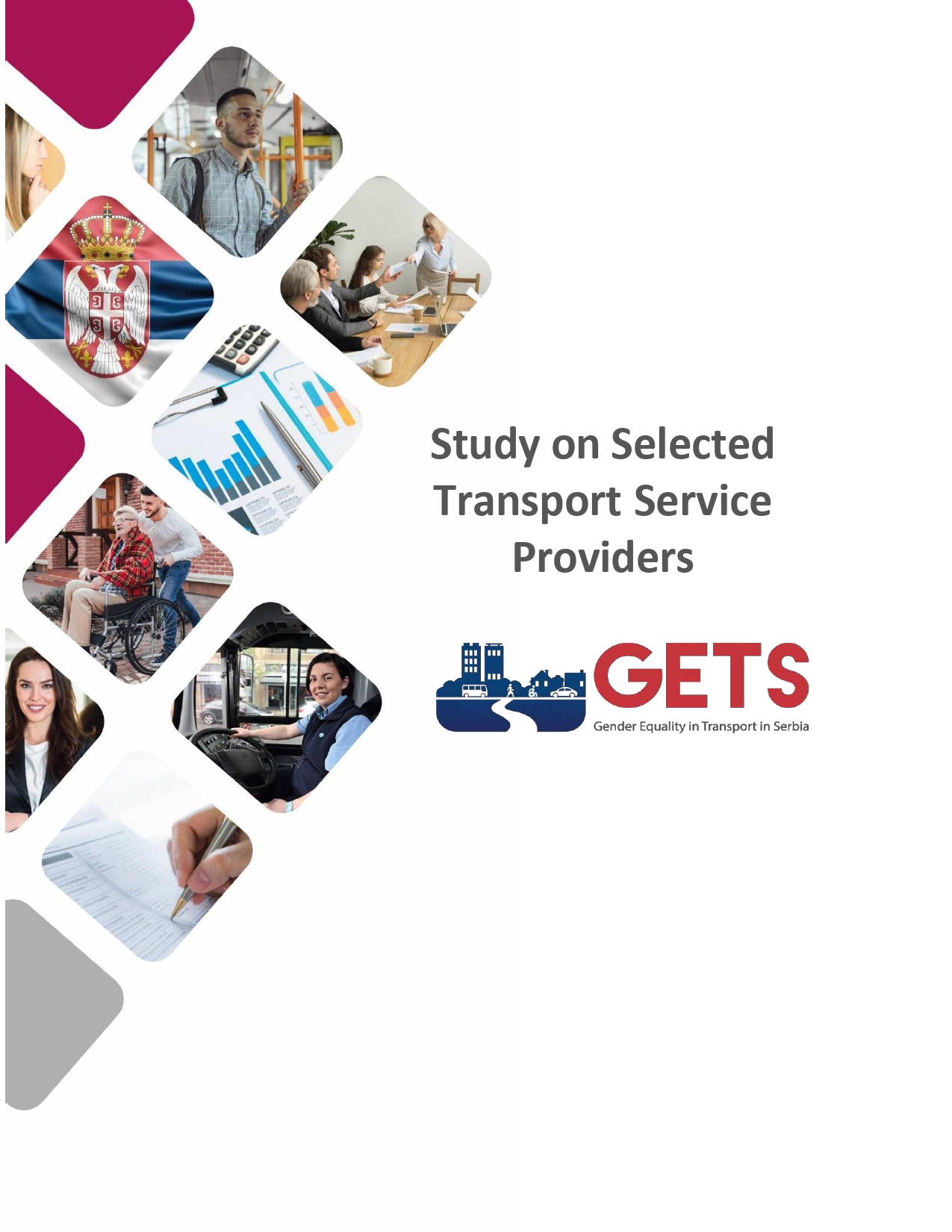 Study on Selected Transport Service Providers – SeConS